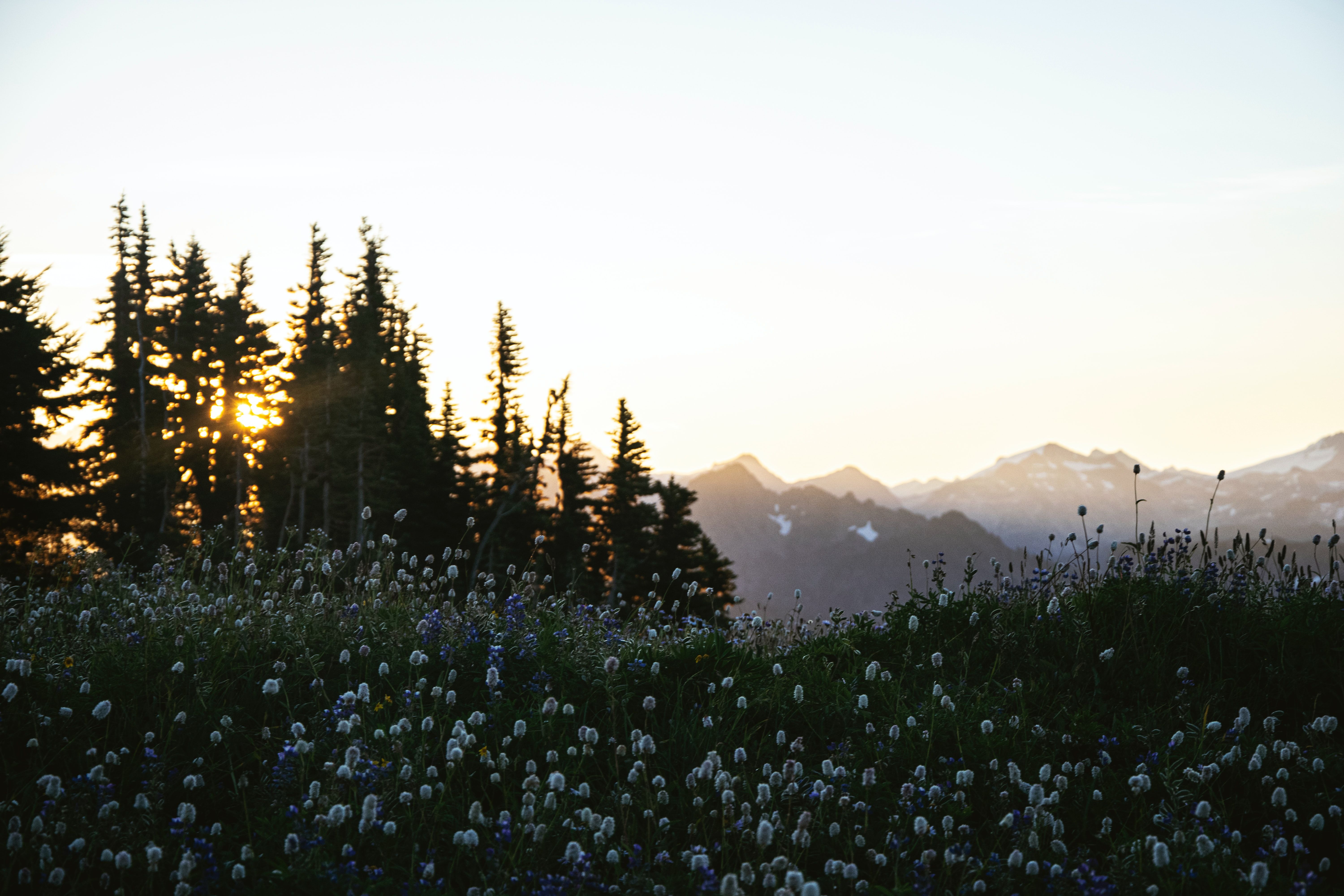 Top 5 Things to Do in he Summer Mead, WA | Keylock Storage