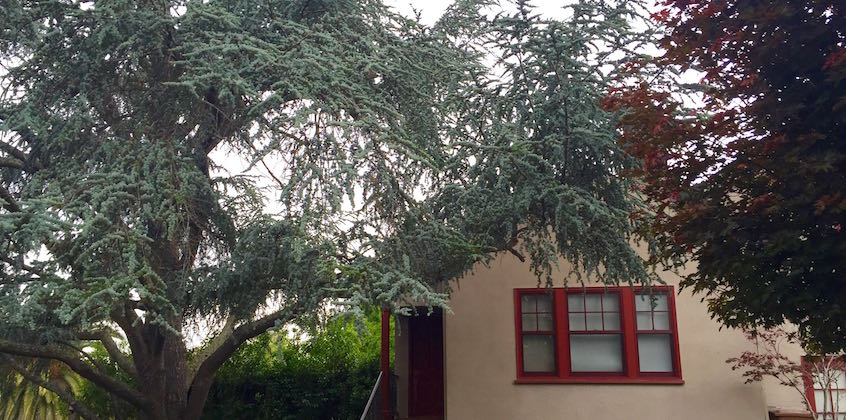 How to Choose a Safe Home | Storagefront