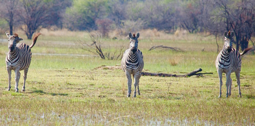 A Beginners Guide to Moving to a New Country | Storagefront