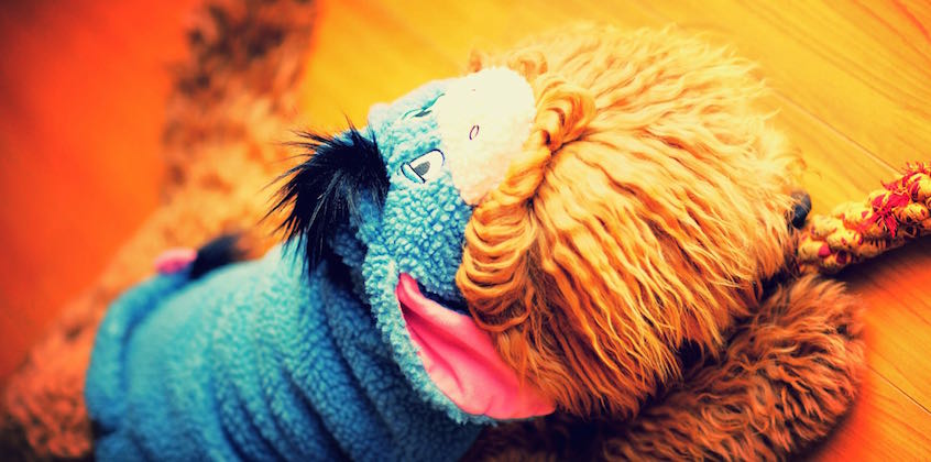 How to Store Halloween Costumes | Storagefront