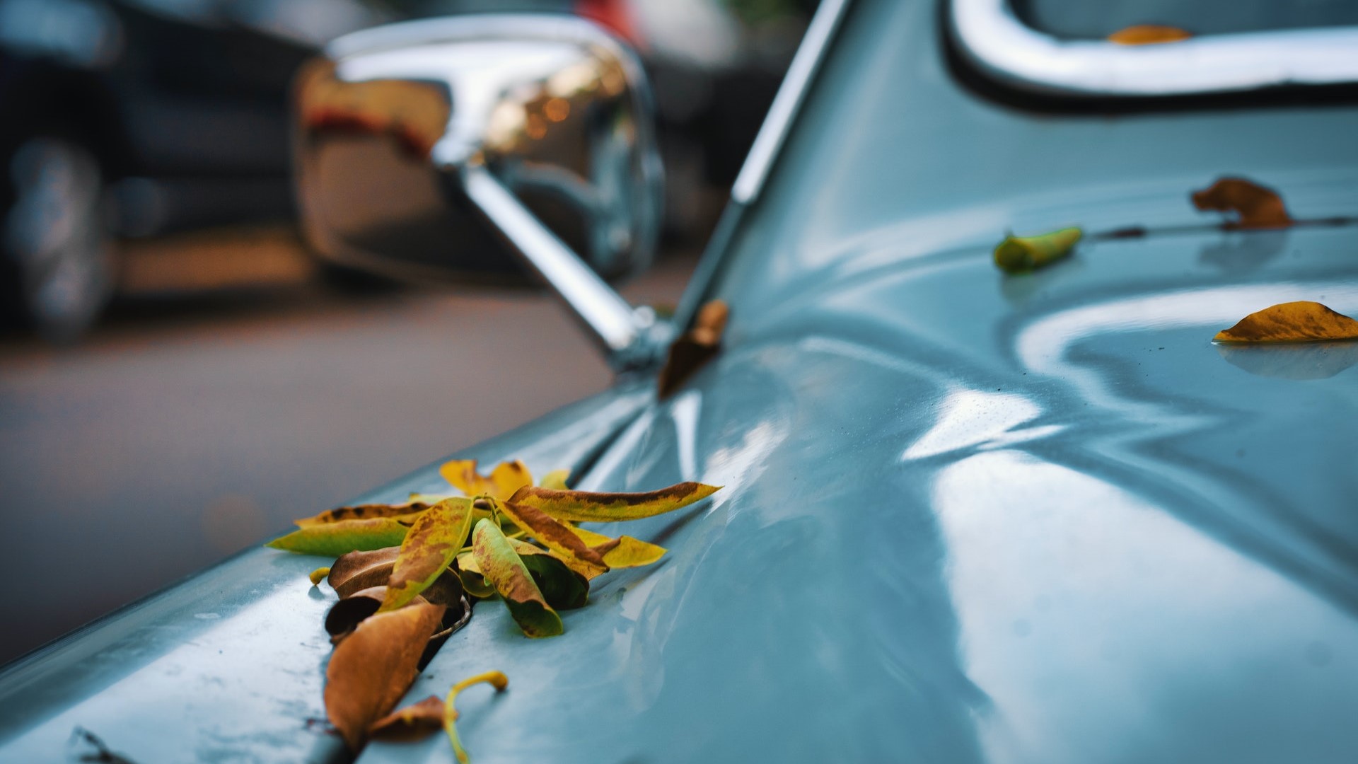 What You Need to Know About Storing a Vehicle in Self Storage ...